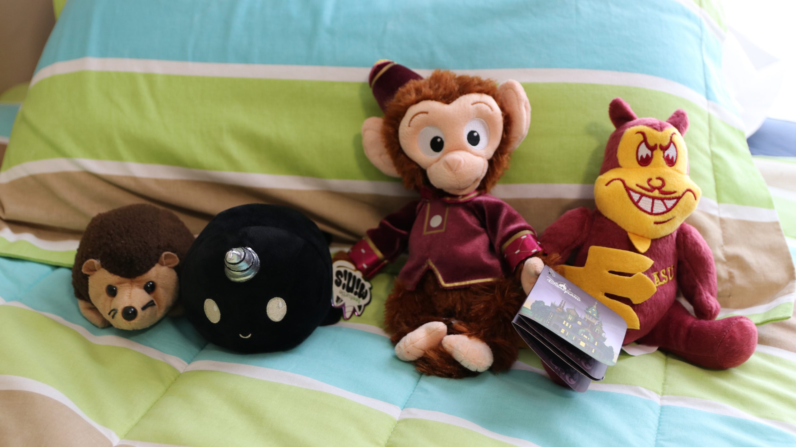 Creating your home-away-from-home during your Disney Program - Life at ...