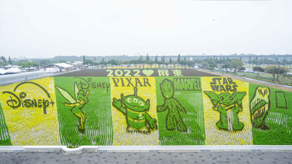 Disney’s Taiwan Team Creates Disney+ Rice Field - Life at Disney