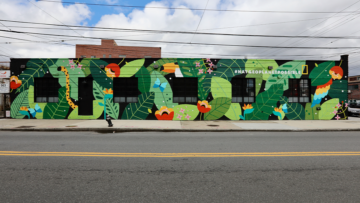 ABC OTV and Nat Geo Celebrate the Power of Nature Through Public Art ...
