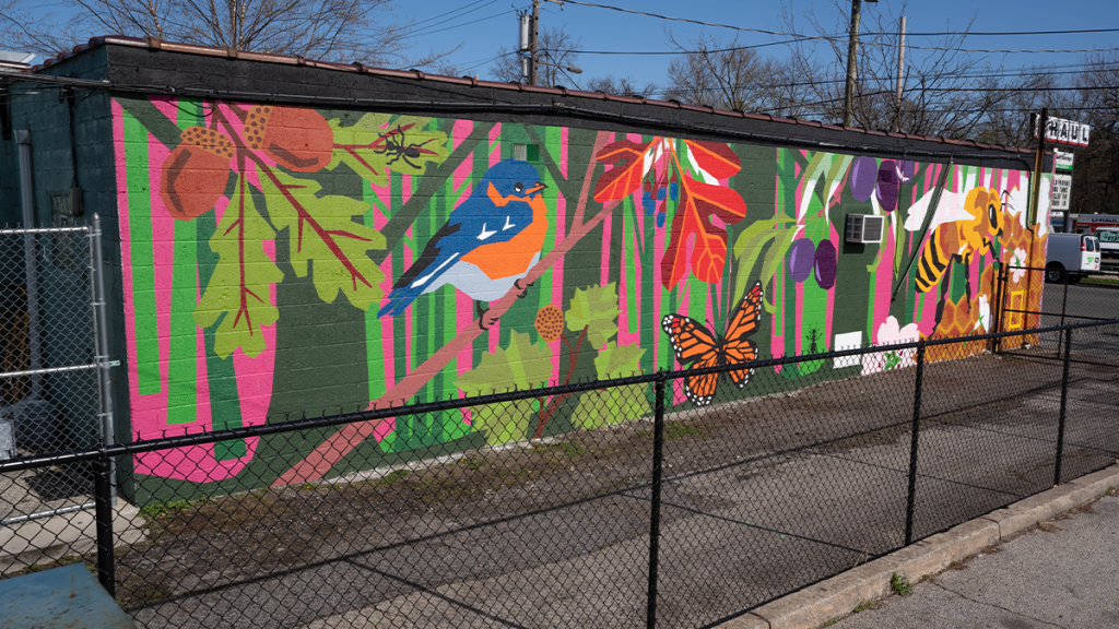 ABC OTV and Nat Geo Celebrate the Power of Nature Through Public Art ...