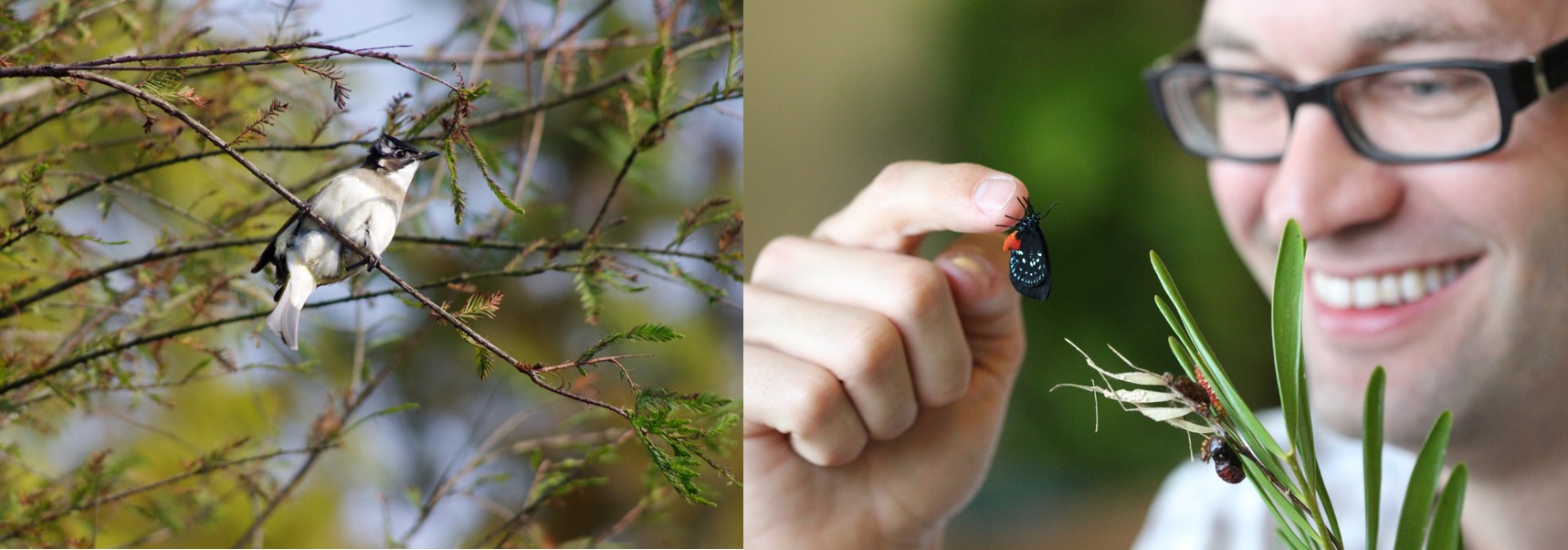 Celebrating the Legacy of Disney Conservation - Life at Disney