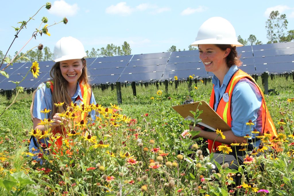 Feeling Green with Disney’s Environmental Sustainability Team - Life at ...