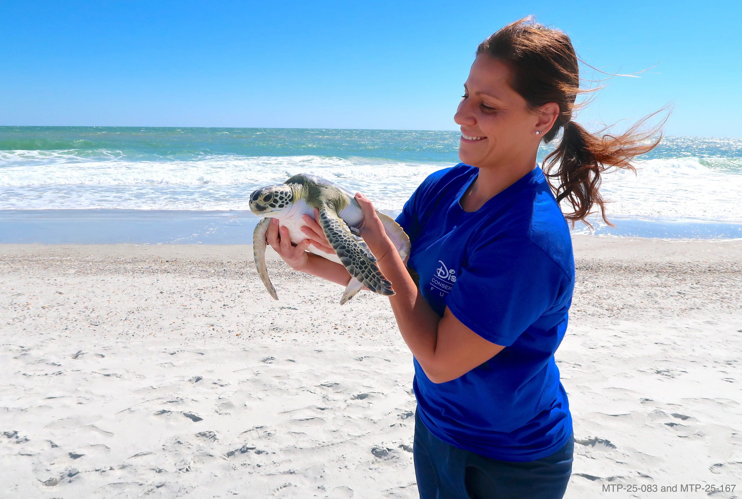 Celebrating World Sea Turtle Day: Meet the Team Saving Sea Turtles ...