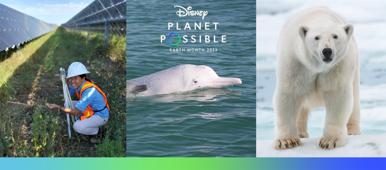 On Land, At Sea, and In the Sky – Disney is Protecting Our Natural ...