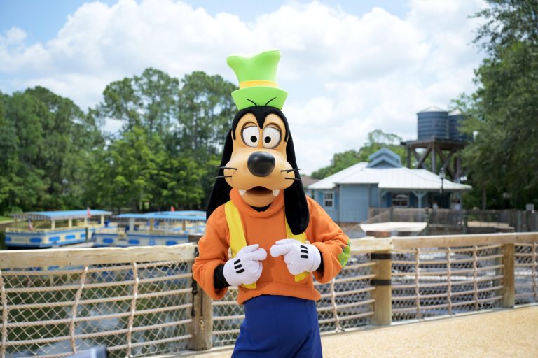 After Your Disney College Program - Experience Disney Programs