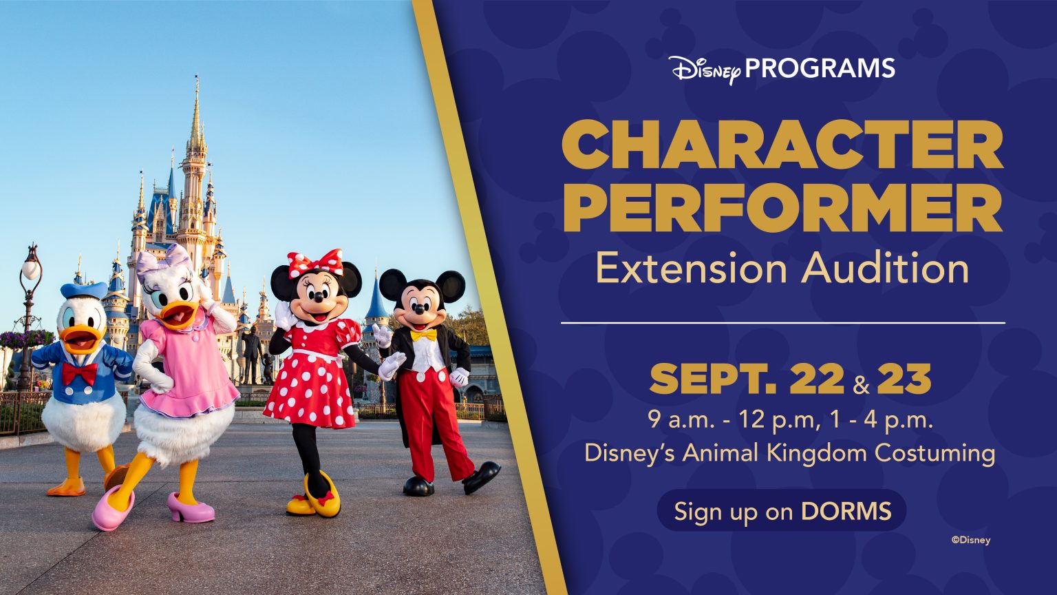 Home - Experience Disney Programs